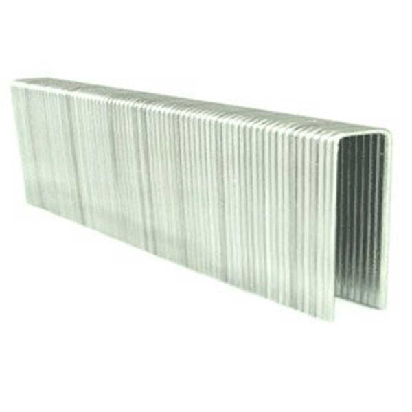 1" LEG x 1/2" CROWN 16GA 304 STAINLESS GS-16 STAPLES 5M Box | FastenerUSA